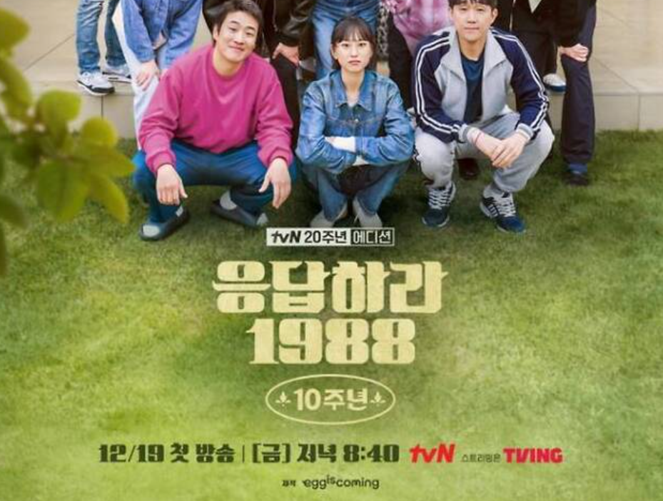 응답하라 1988 10주년 재방송 편성표, 다시보기, OTT 기본정보